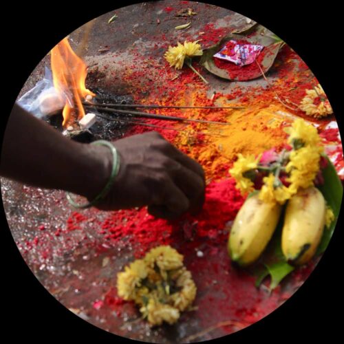 Courses - The Mythic Body